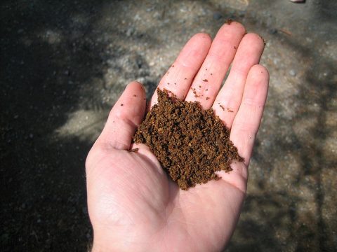 Soil sample collection