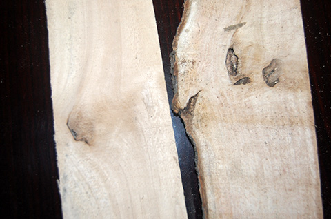 Increased production of high-quality paulownia wood